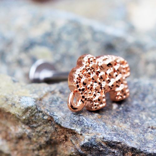 Rose Gold Plated Elephant Labret - Rebel Bod